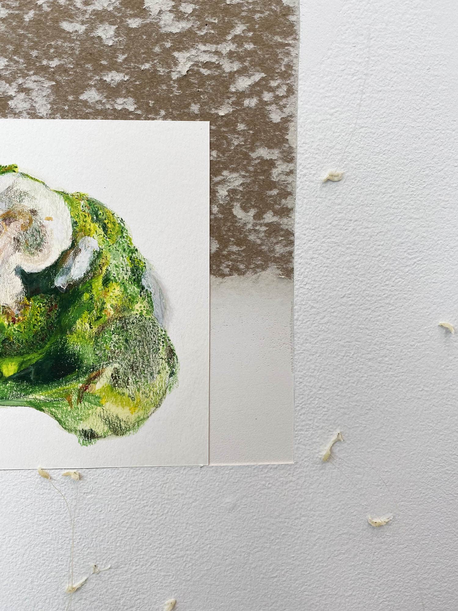 Heidi Holmes - Currently Arts Society